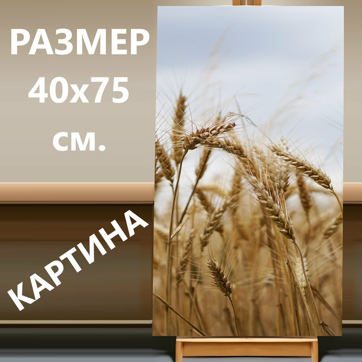 Картина на холсте "Пшеничное поле, пшеница, пшеницы выращивание" на подрамнике 75х40 см. для интерьера