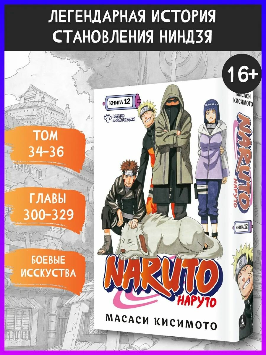 Naruto. Наруто. Книга 12. Встреча после