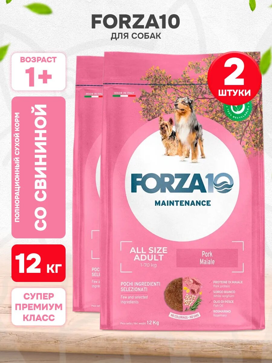 Корм сухой Forza10 Dog Maintenance Adult All Size для взрослых собак всех пород со свининой, 12 кг х 2 шт
