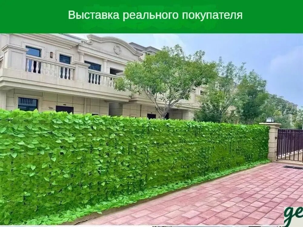 Фитостена,3шт — фото 1