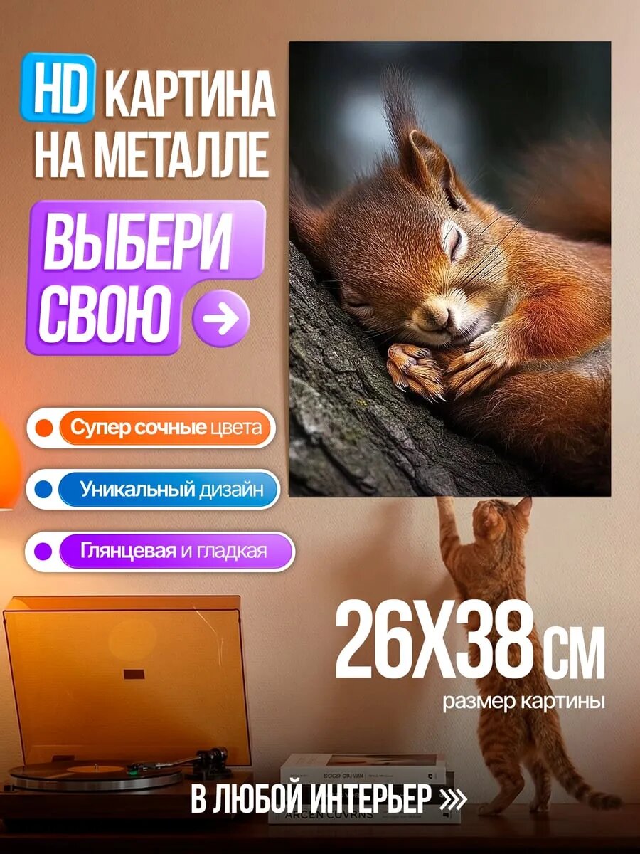 Картина на HD металле Спящая белка на дереве