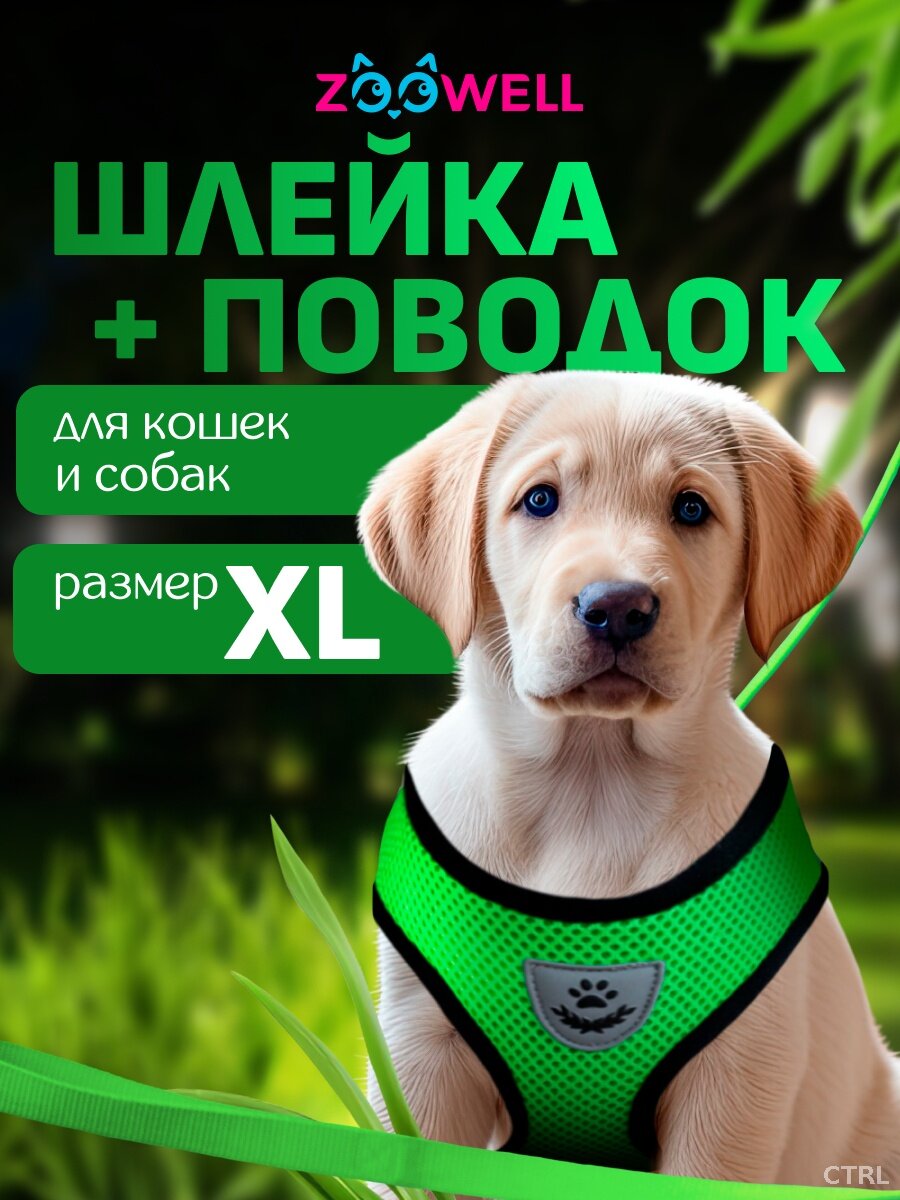 Шлейка с поводком для собак ZooWell универсальная, размер XL зеленая