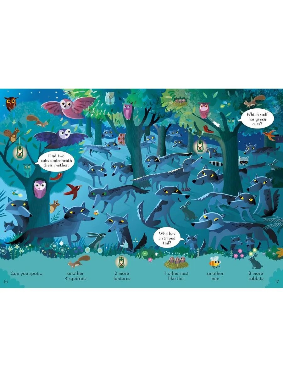 Usborne Can you Spot Night Time | цифровые книги на физическом носителе — фото 1
