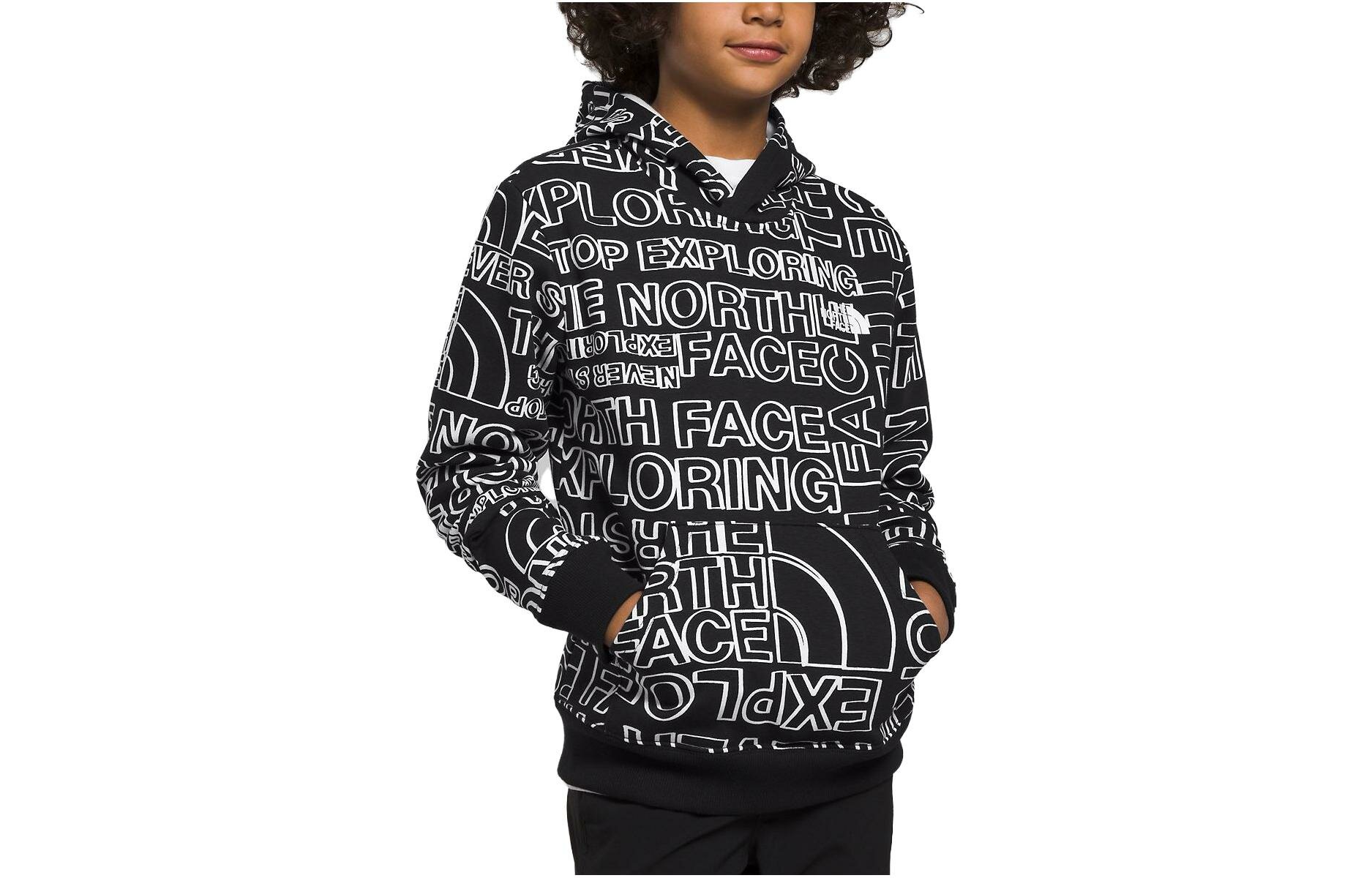 Толстовка THE NORTH FACE