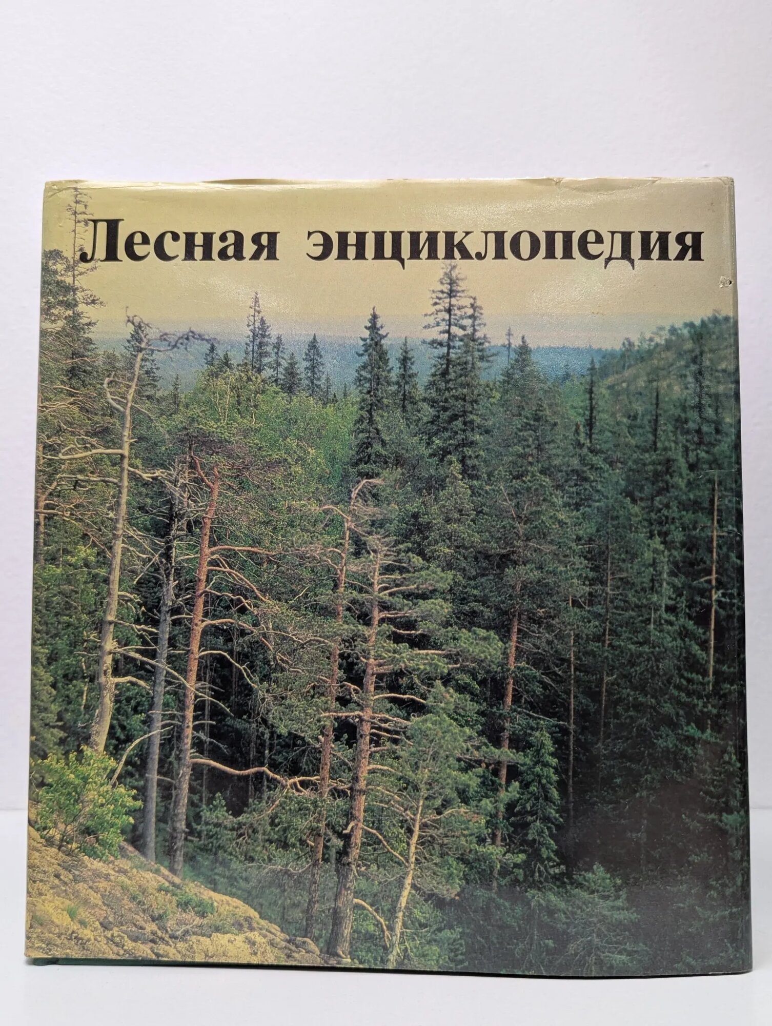 Лесная энциклопедия. В 2 томах. Том 1. Абелия-Лимон 1985