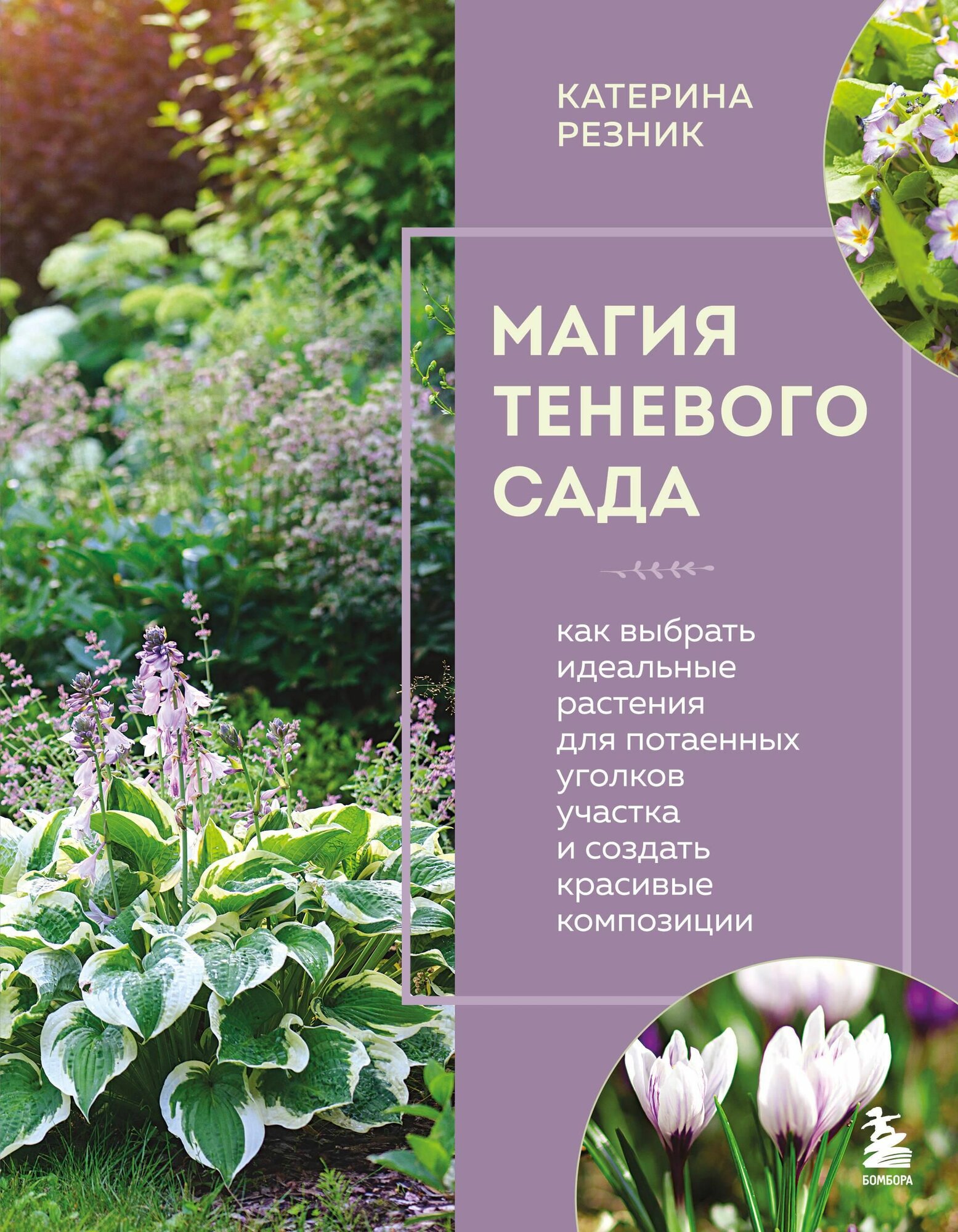 Магия теневого сада. Как выбрать идеальные растения для потаенных уголков участка и создать красивые