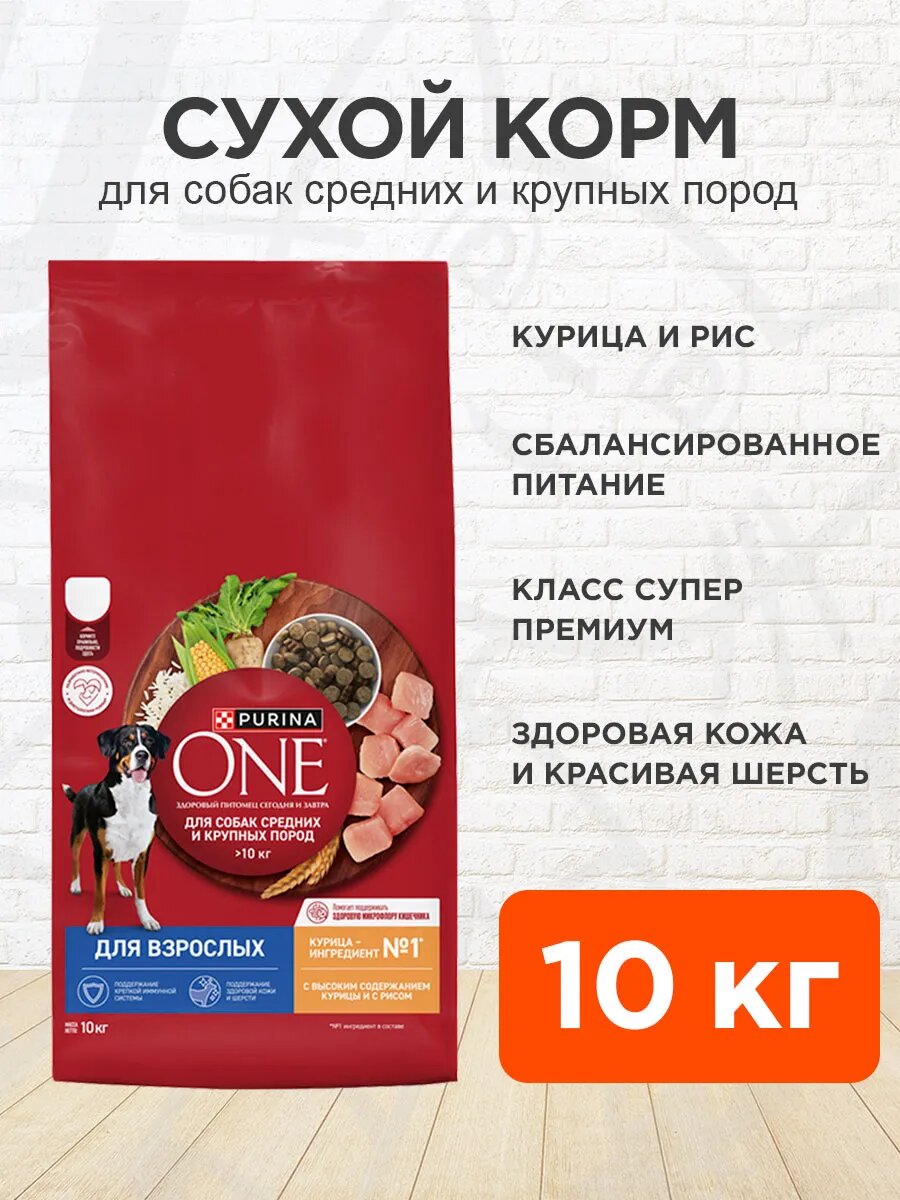 Корм сухой Purina One для взрослых собак средних и крупных пород, курица и рис, 10 кг