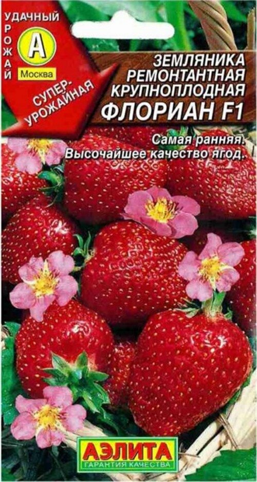 Семена земляники Аэлита Флориан, ремонтантная крупноплодная, 5 шт