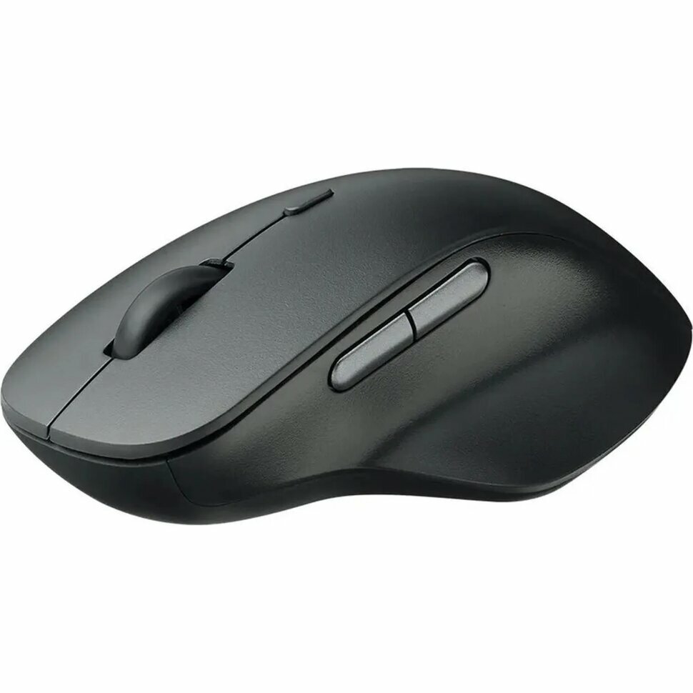 Мышь компьютерная RAPOO (M50PLUS-BL) беспроводная черная, 2138562