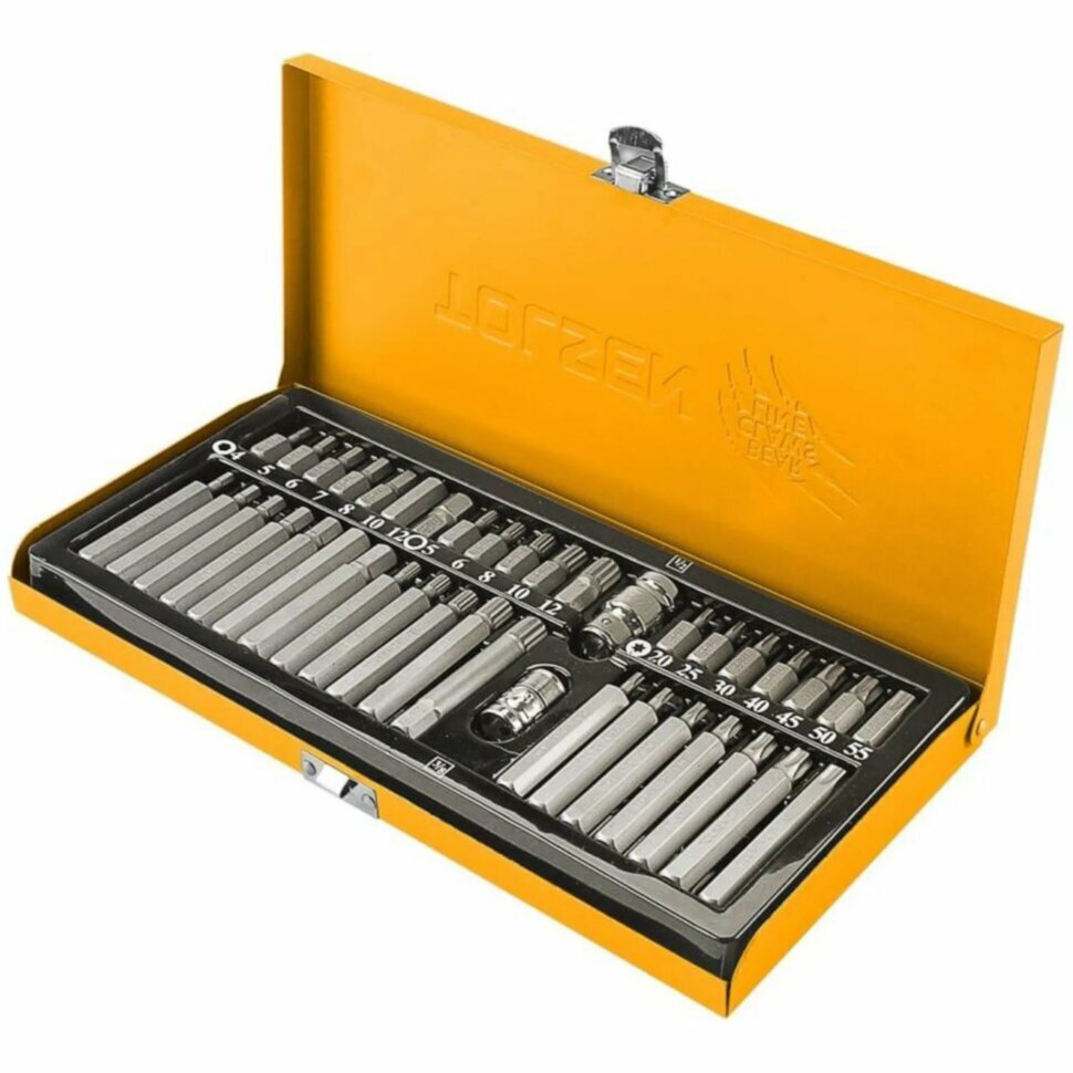 Набор бит 10 мм, Torx, Spline, Hex, 40 предметов TOLSEN, 1955500