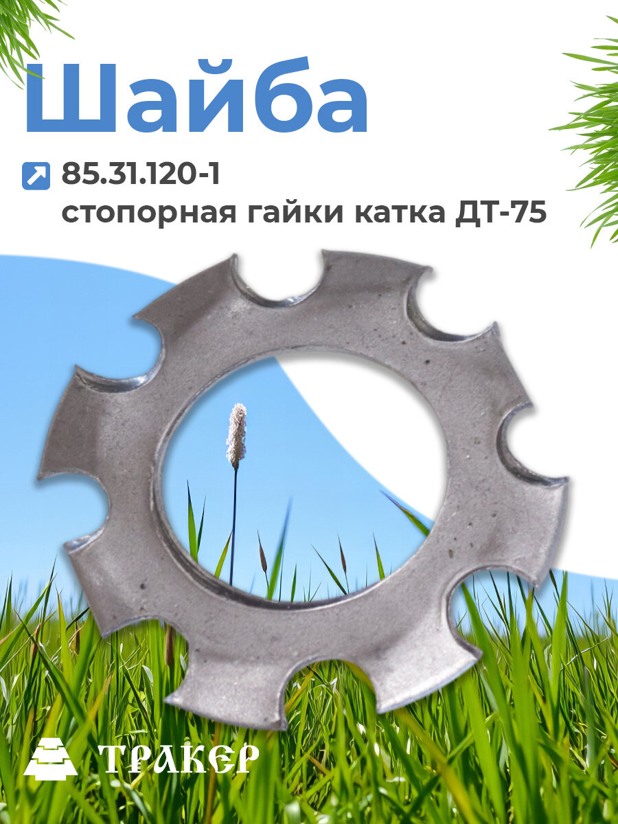 Шайба 85.31.120-1 стопорная гайки катка для трелевочного трактора ДТ-75
