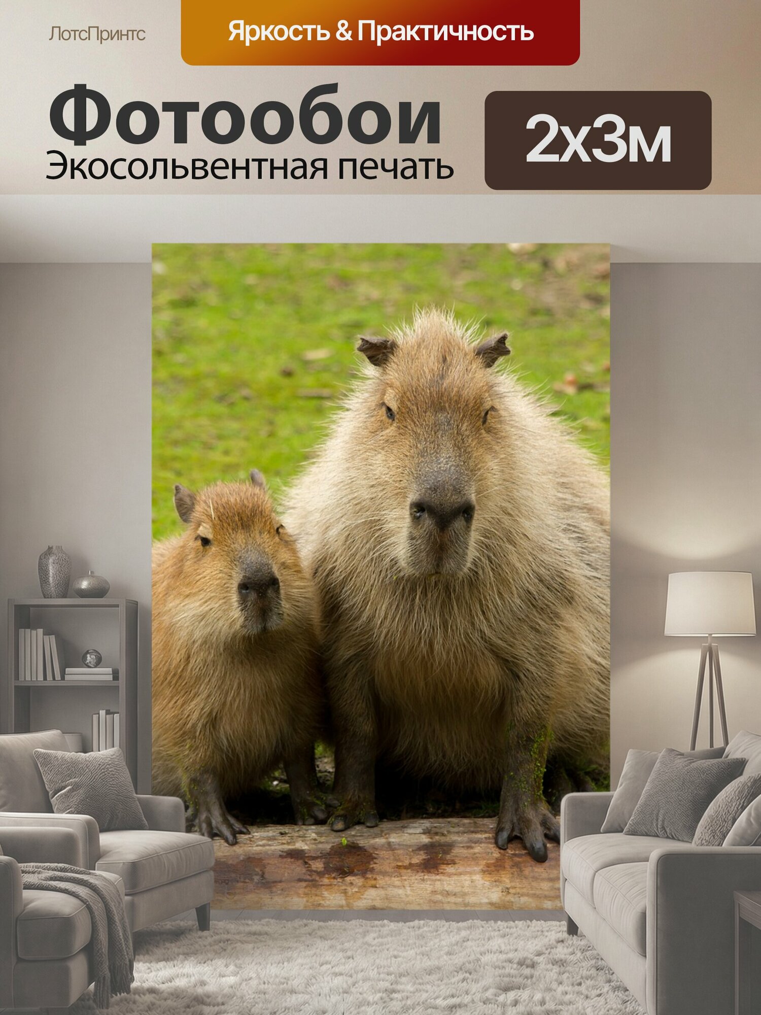 Фотообои "Капибара, животные, зоопарк" 200x300 см. экосольвентная печать