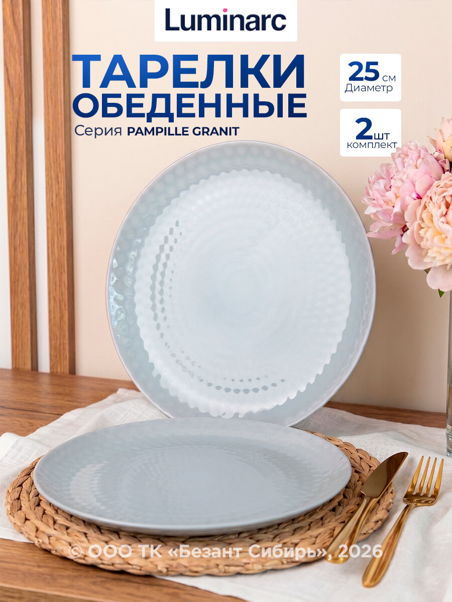 Набор обеденных тарелок PAMPILLE GRANIT 25см 2 шт