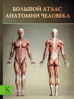 Большой атлас анатомии человека Reprinted books