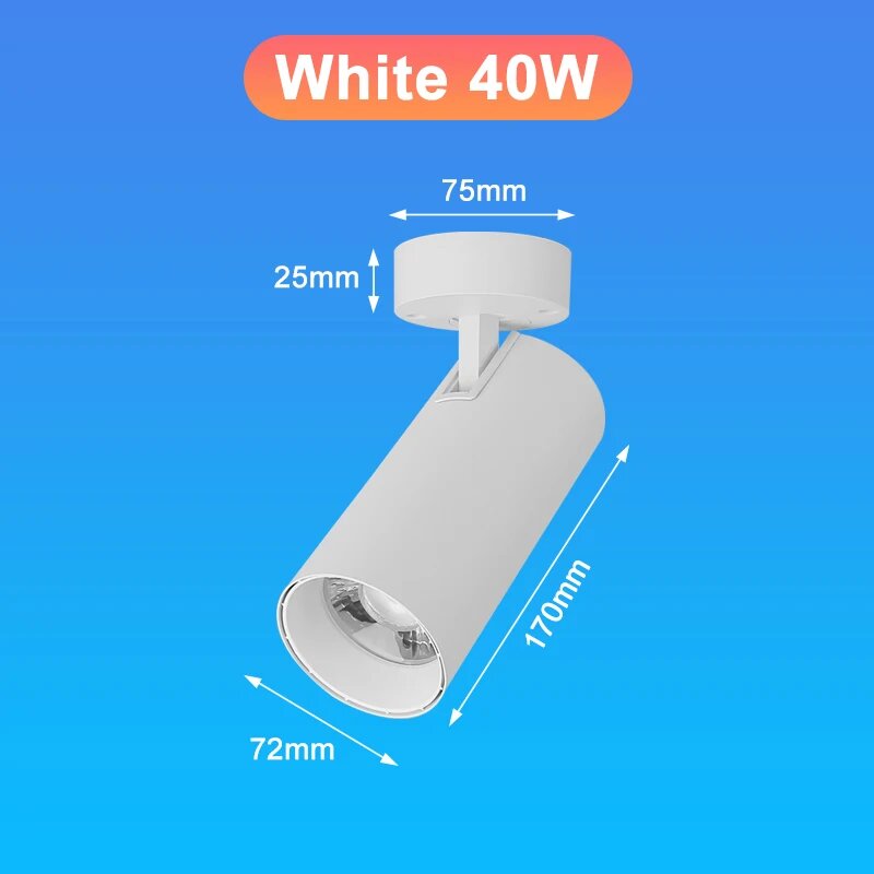 Светодиодный прожектор DIBILUN 40 Вт, черный/белый, Type B 40W White, Natural white