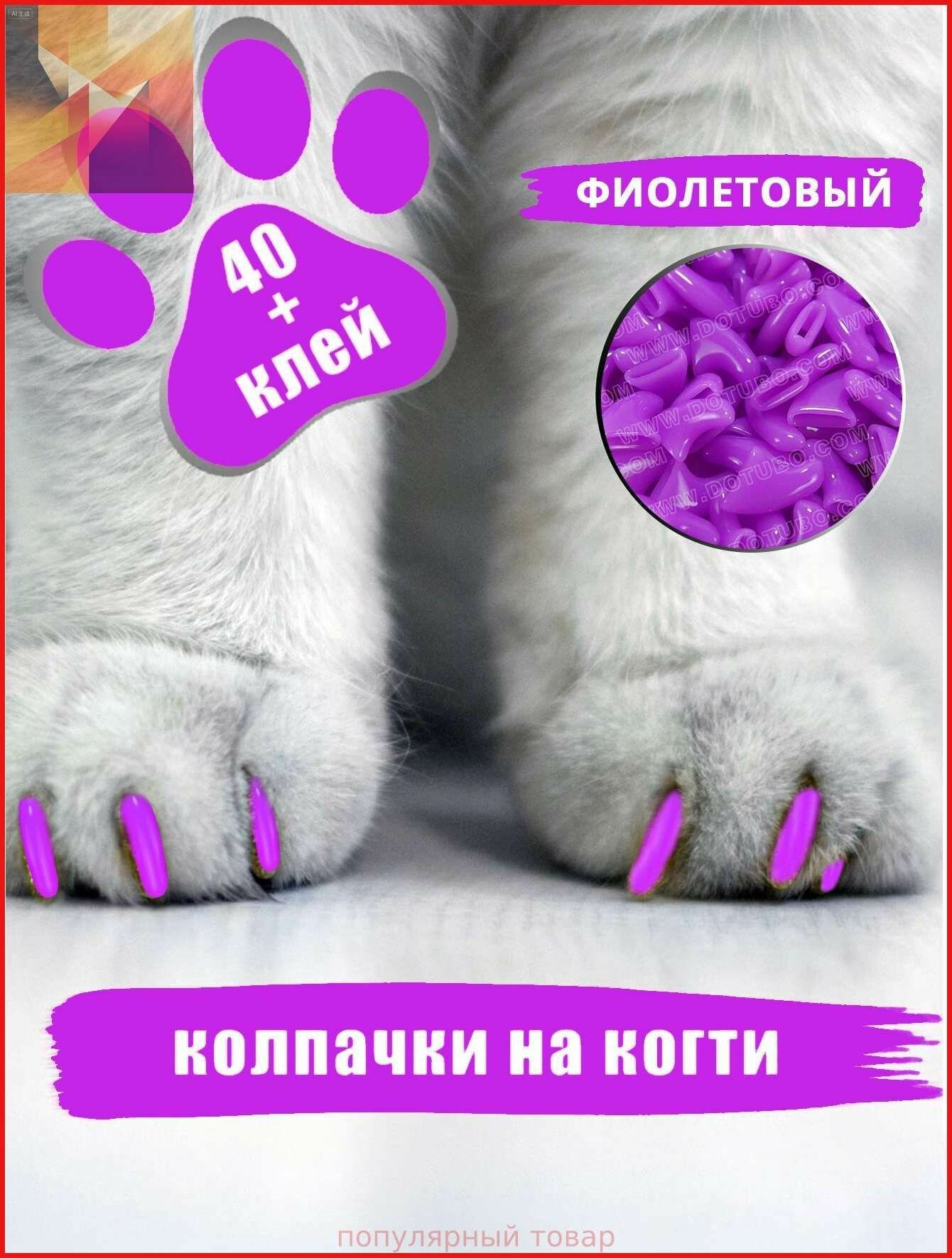 Антицарапки 40 шт, колпачки на когти для кошек, колпачки защитные на ногти для кошек и котят