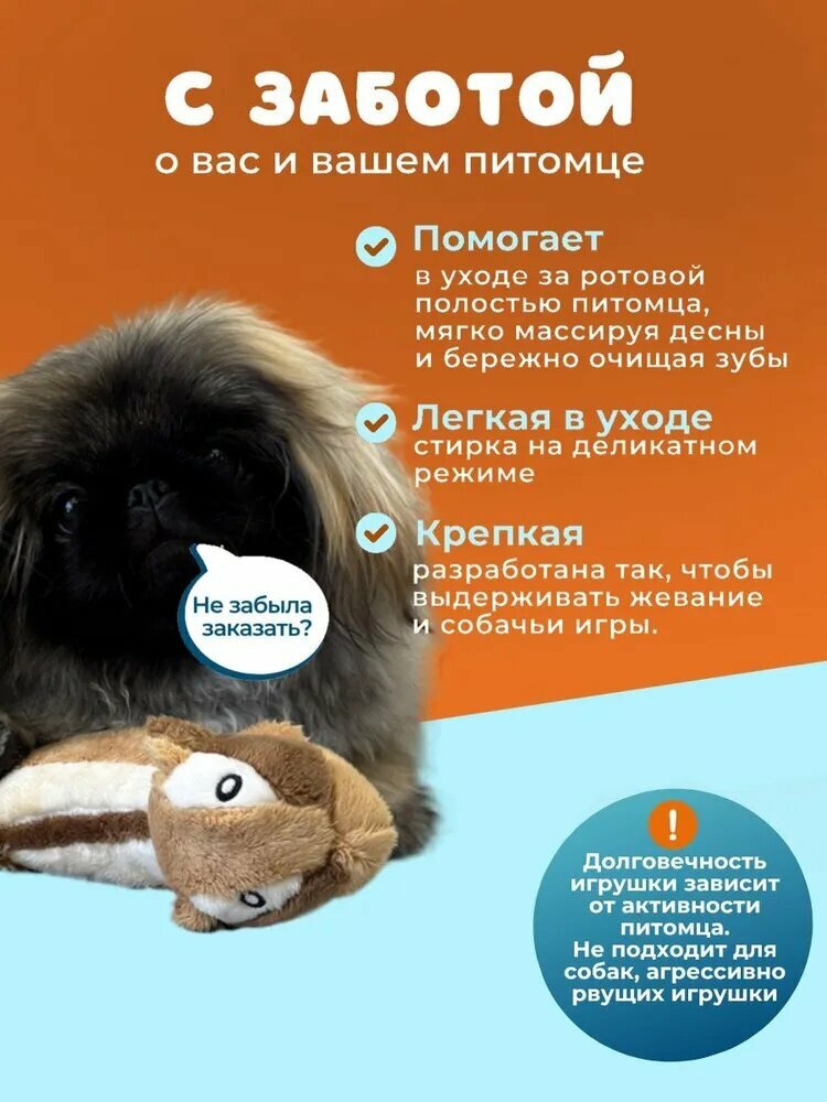 Игрушка для собак "Белка", мягкая, бежевая, с пищалкой, для мелких пород