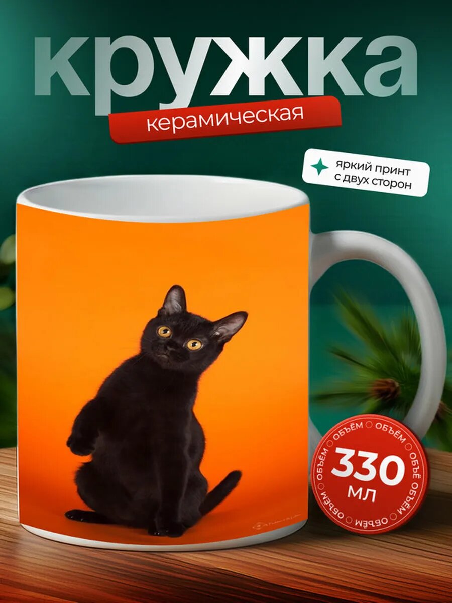 Кружка Золотистый бомбей кот 4,