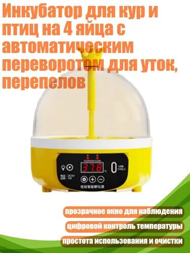 Инкубатор для кур и птиц на 4 яйца с автоматическим переворотом для уток, перепелов