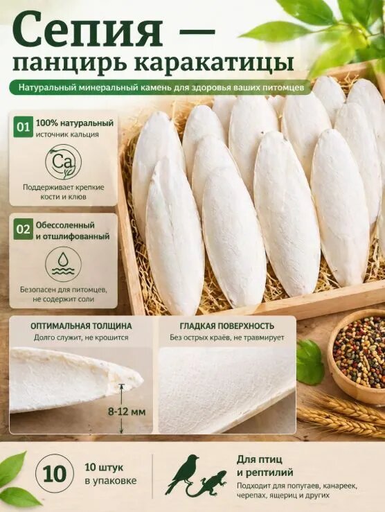 Сепия для птиц и рептилий, 10 шт - натуральный панцирь каракатицы обессоленный, минеральный камень для заточки клюва попугаев, черепах и улиток8-10cm.