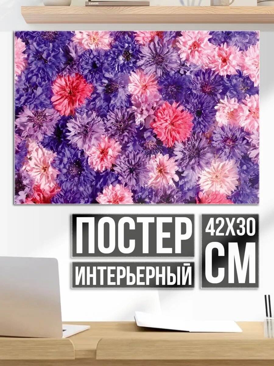 Плакат постер Цветочный узор