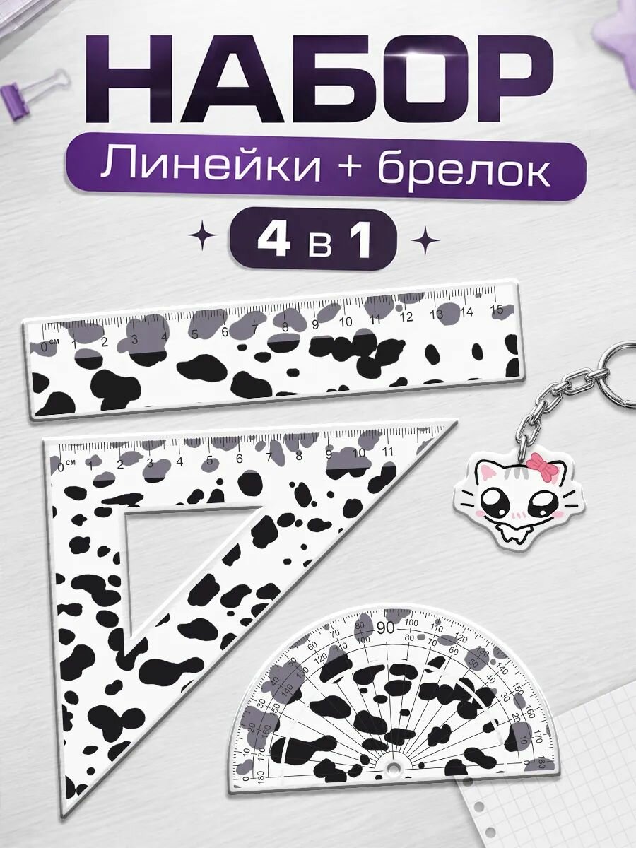 Набор линеек для школьника с транспортиром далматинец