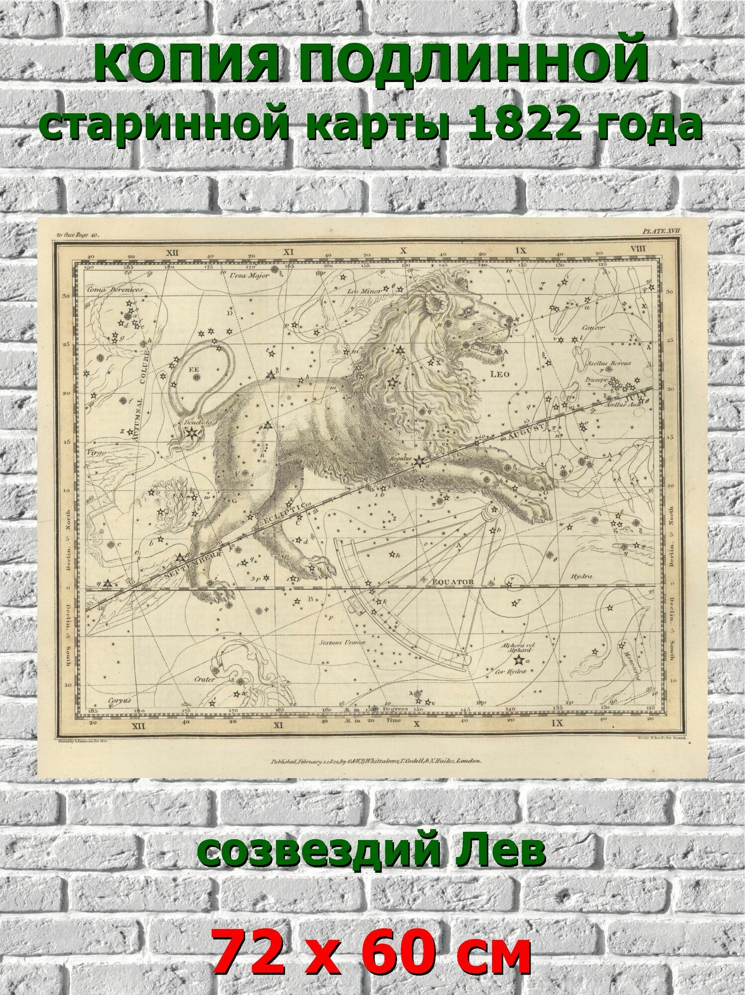 Старинная Карта созвездий. Лев. (репринт карты 1822 года).