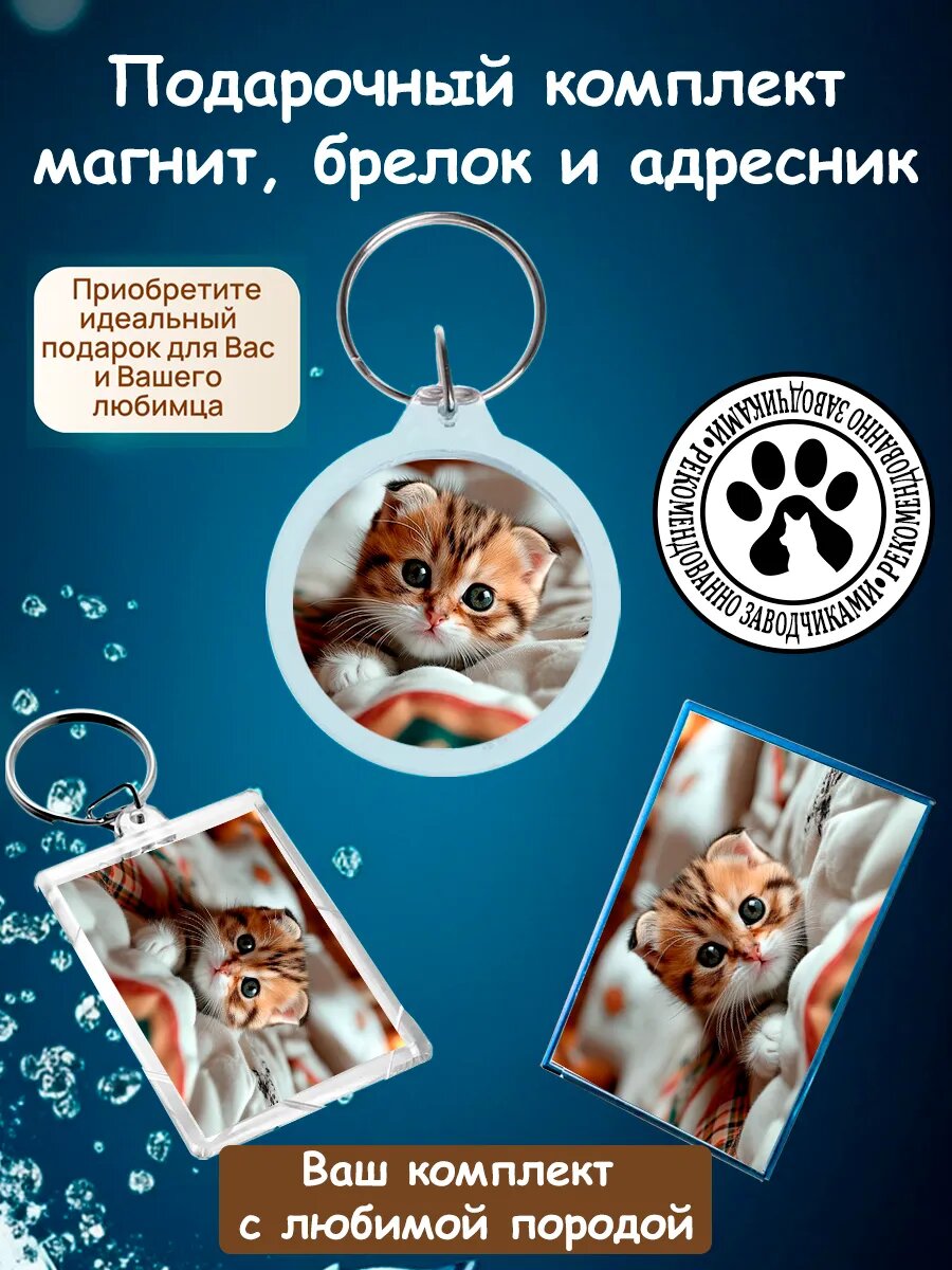 Подарочный комплект магнит брелок адресник