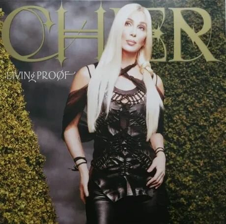 Виниловая пластинка Cher Living Proof