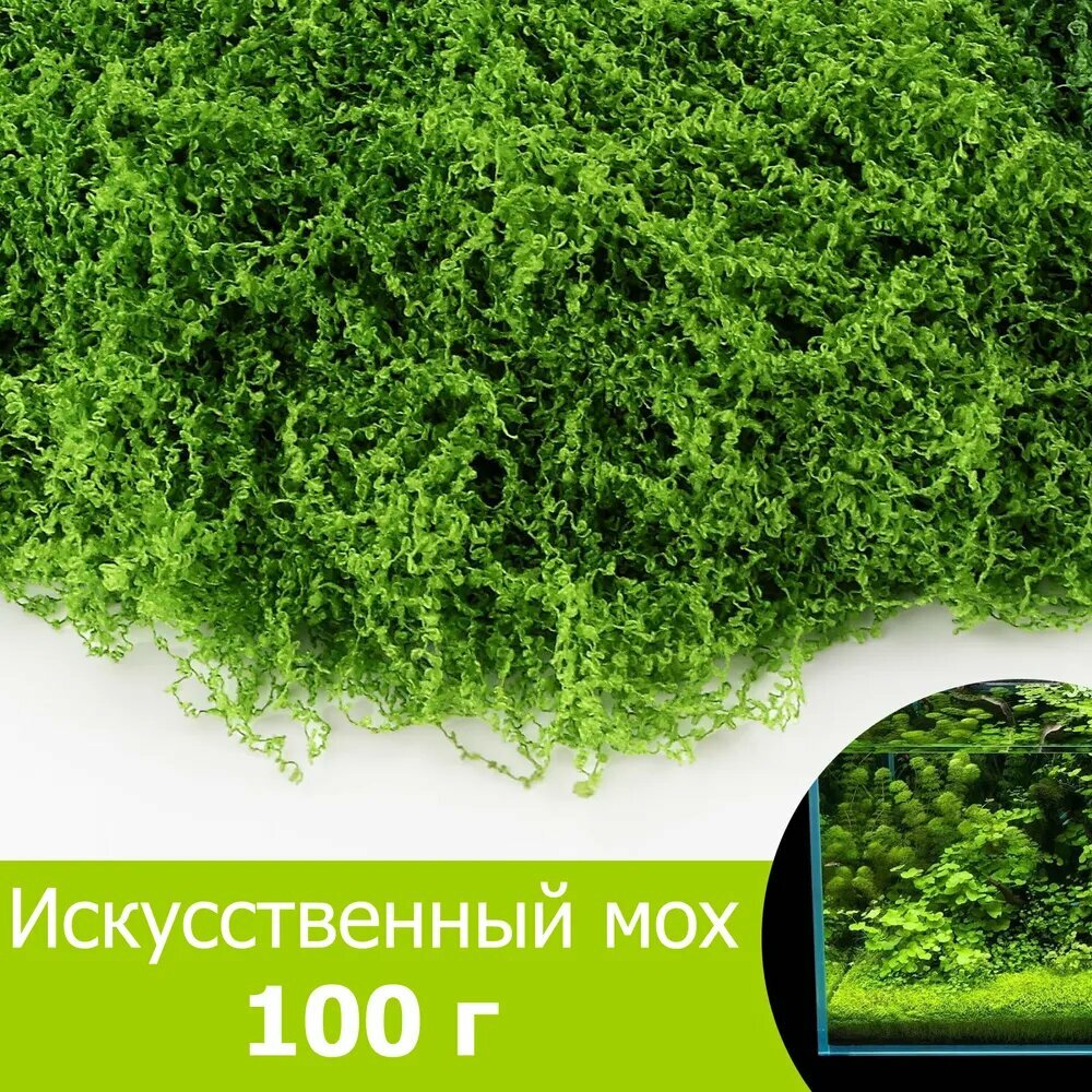 Стабилизированный мох Мох, 100 гр