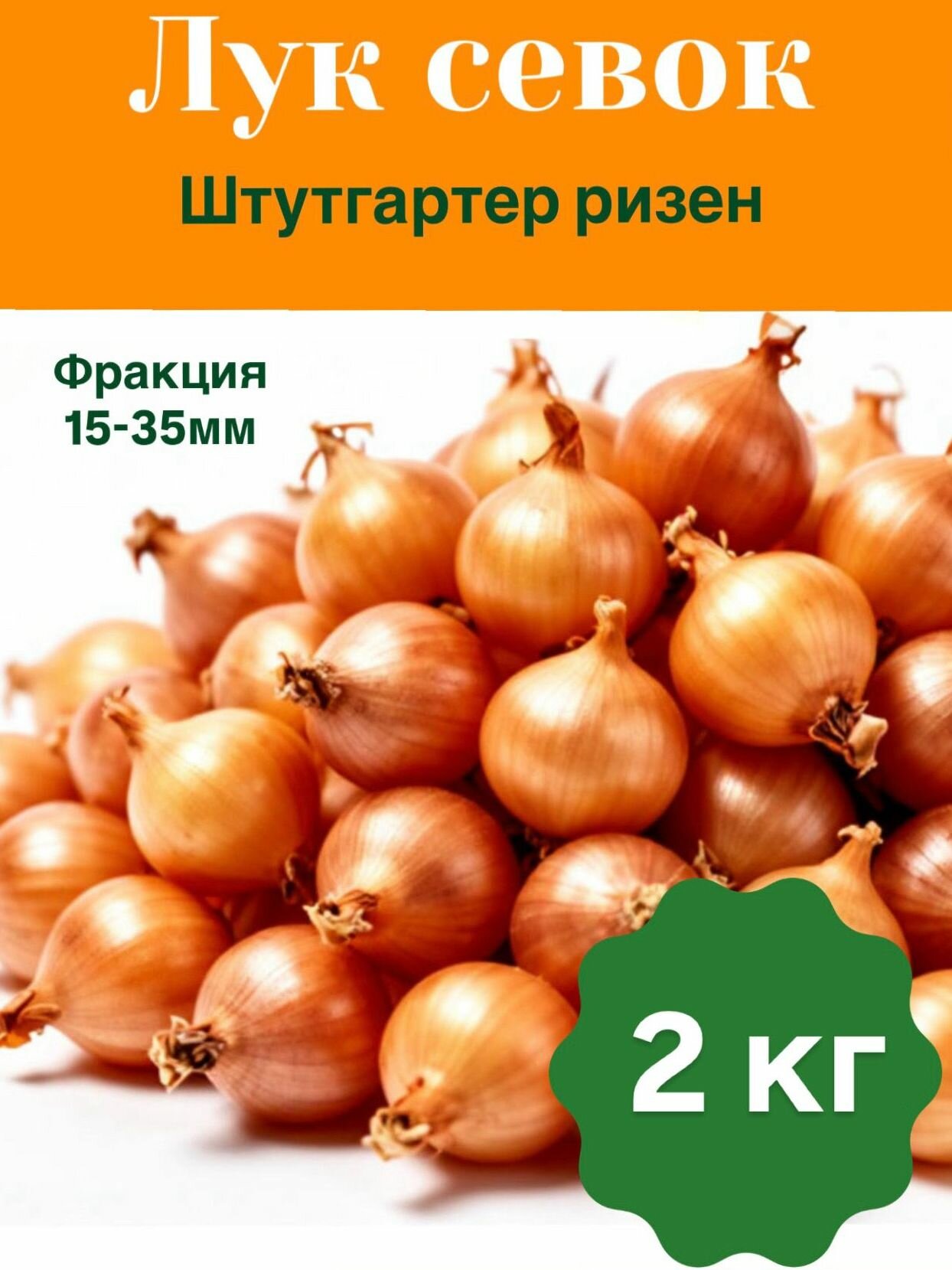 Лук севок для посадки Штутгартер ризен 2кг