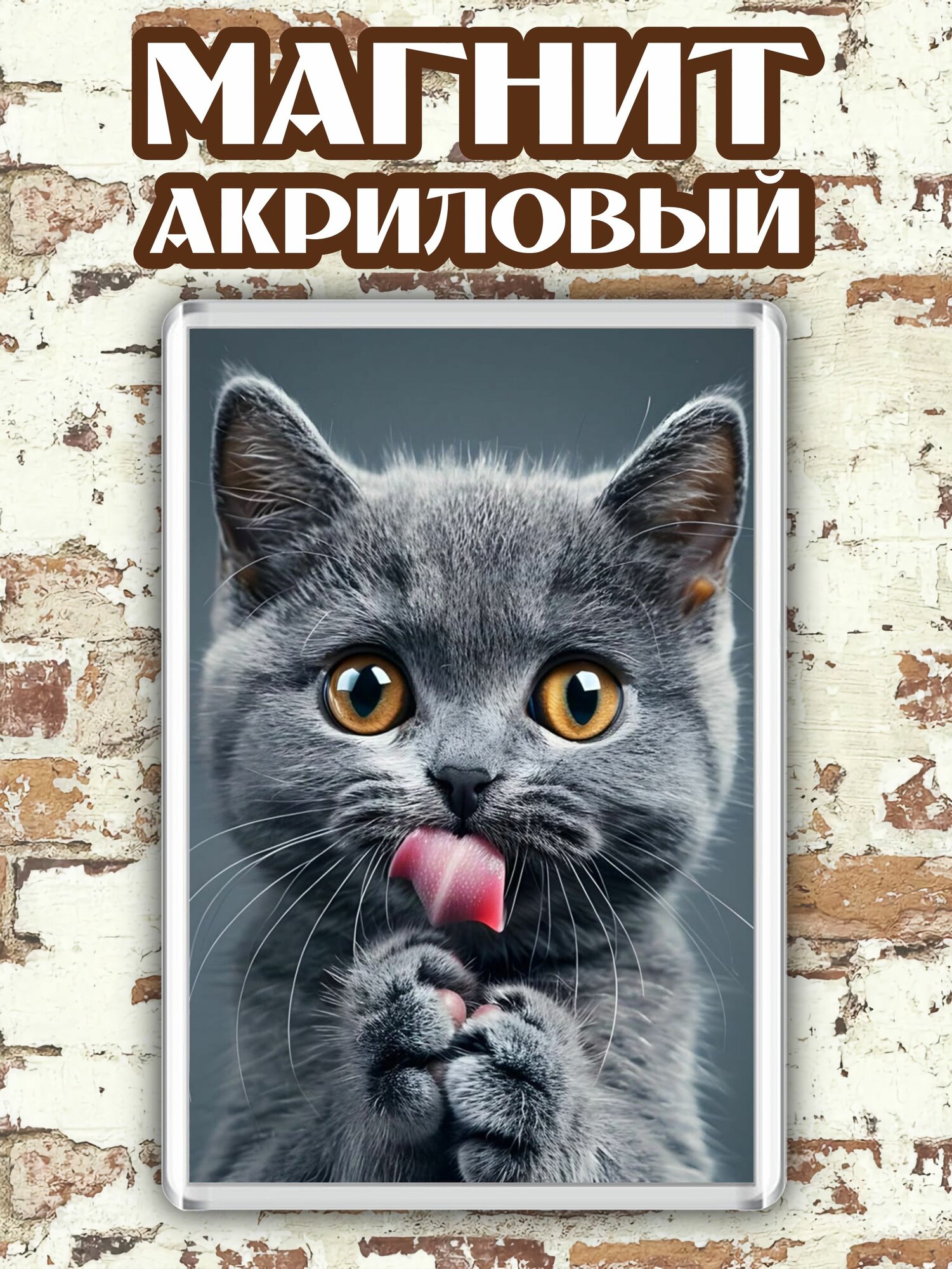 Магнит акриловый "Котик"