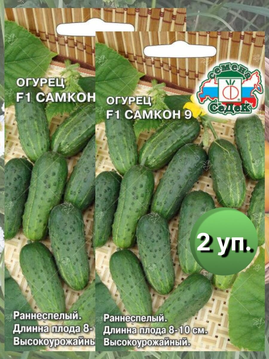 Семена огурца СеДеК F1 Самкон 9, раннеспелые, гибридные, 0,2 грамма (2 уп.)