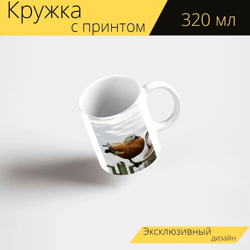 Кружка с рисунком, принтом "Огарь, красная утка, tadorna ferruginea" 320 мл.