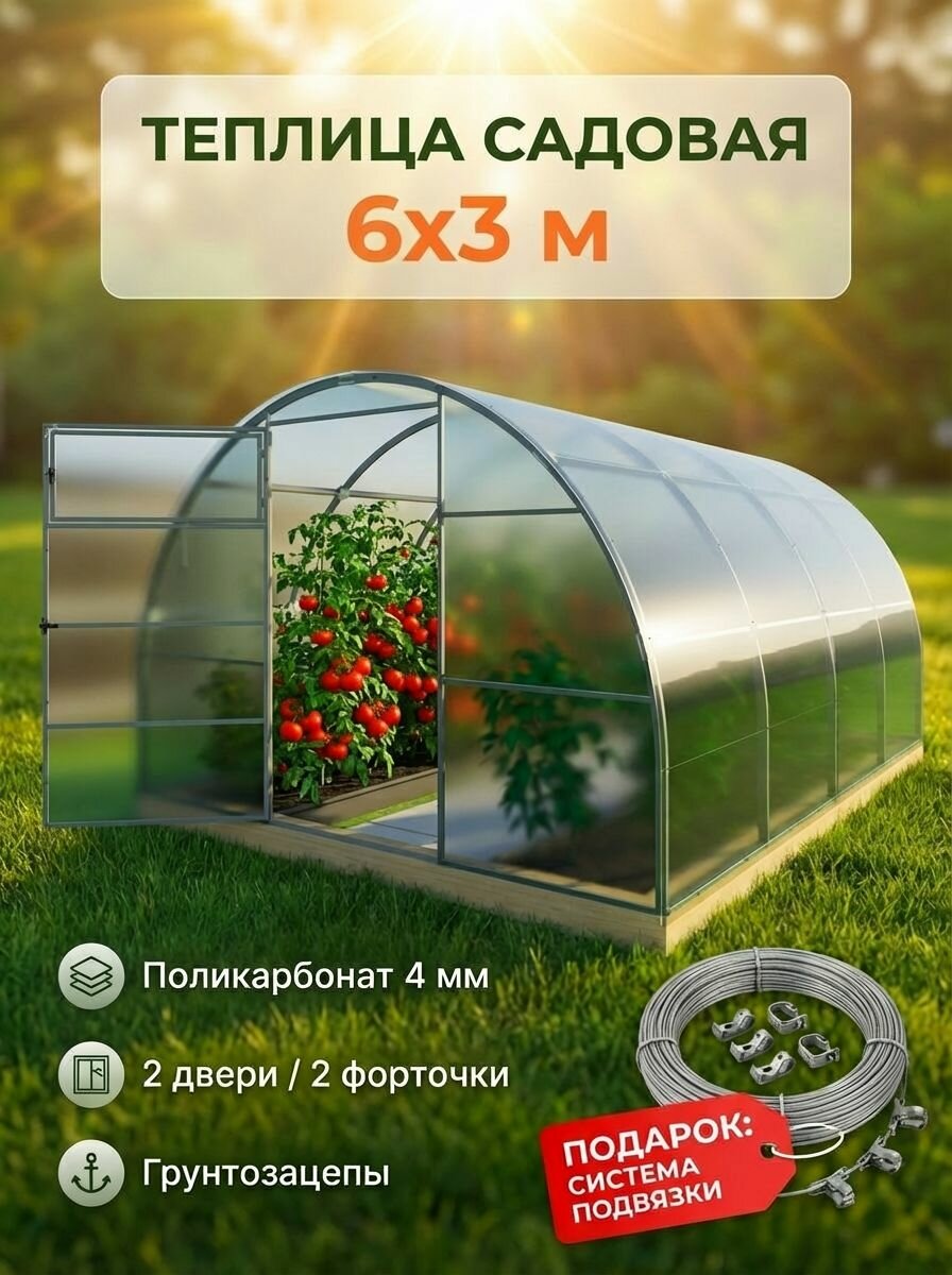Теплица арочная 6Х3 с поликарбонатом