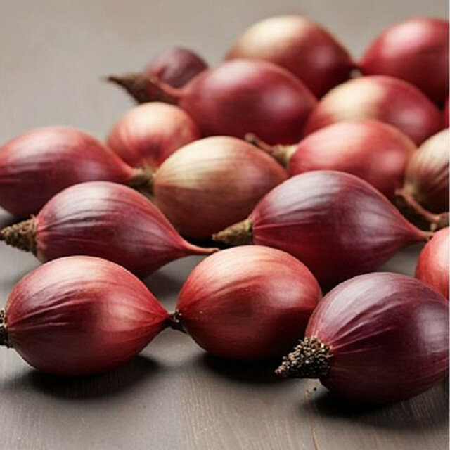 Лук-севок Ред Барон 21/24 0,5 кг – однозачатковый среднераннеспелый сорт из России
