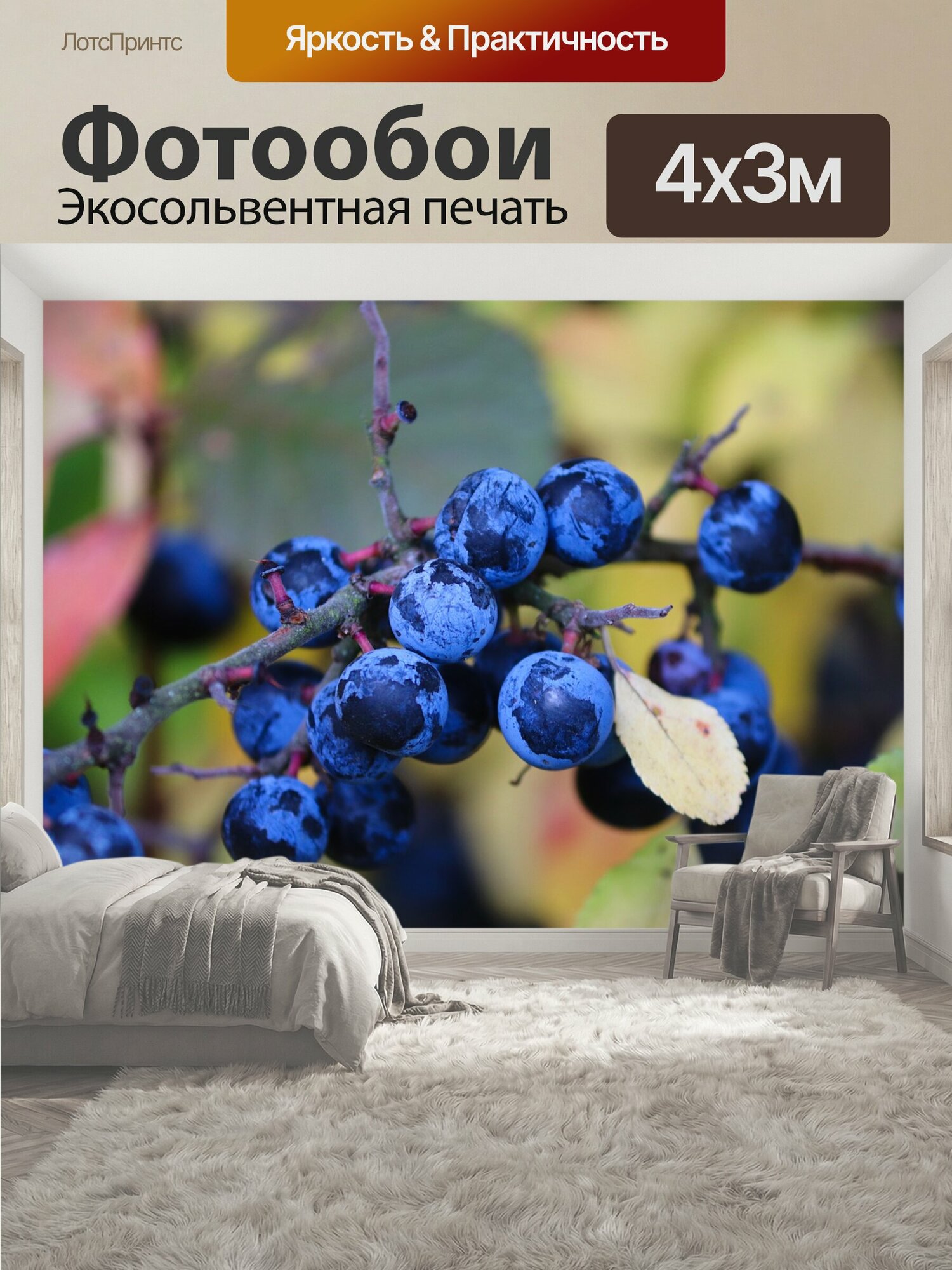 Фотообои "Ягоды, терн, prunus spinosa" 400x300 см. экосольвентная печать
