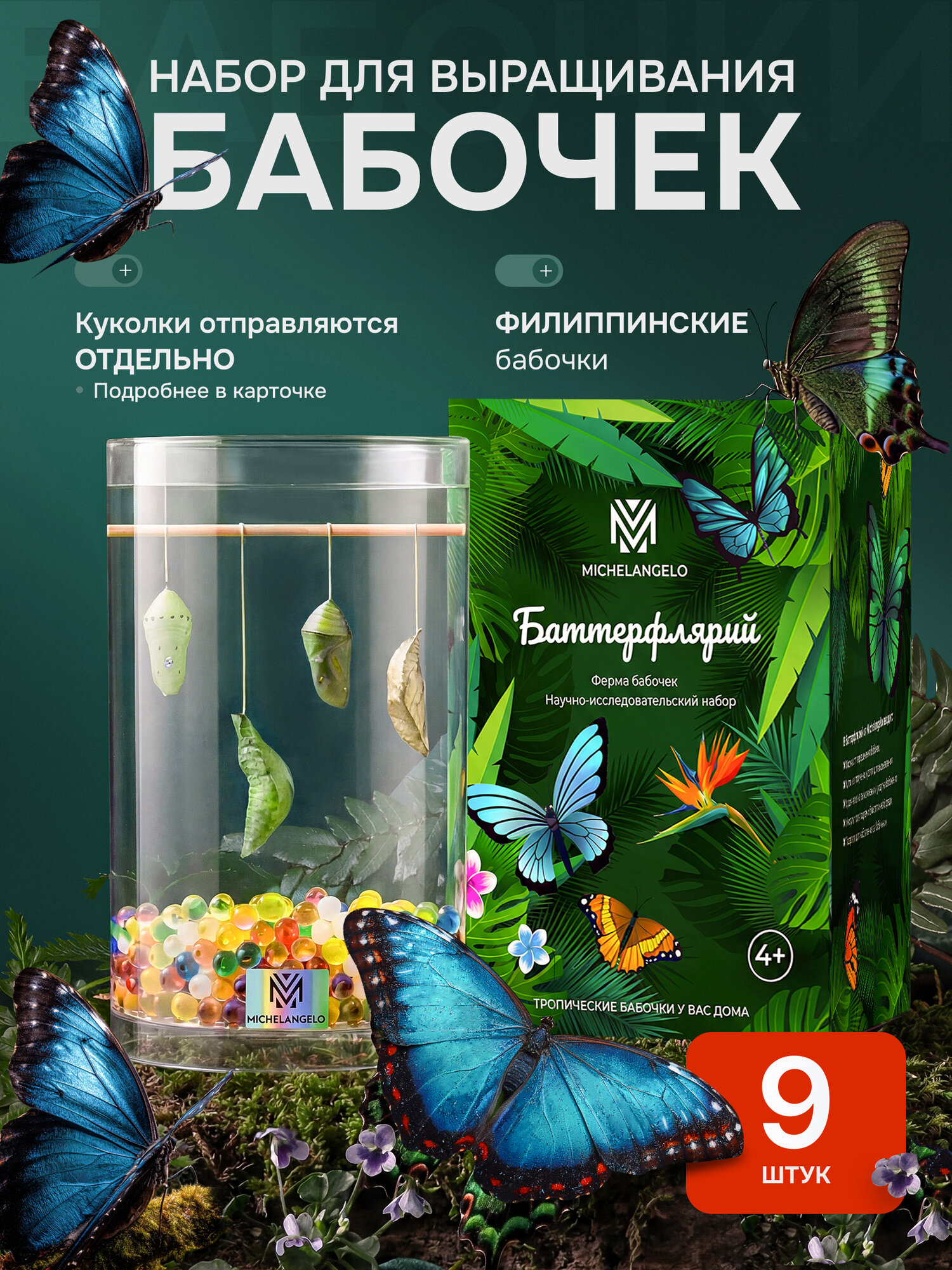 Ферма бабочек баттерфлярий без куколок на 9 бабочек