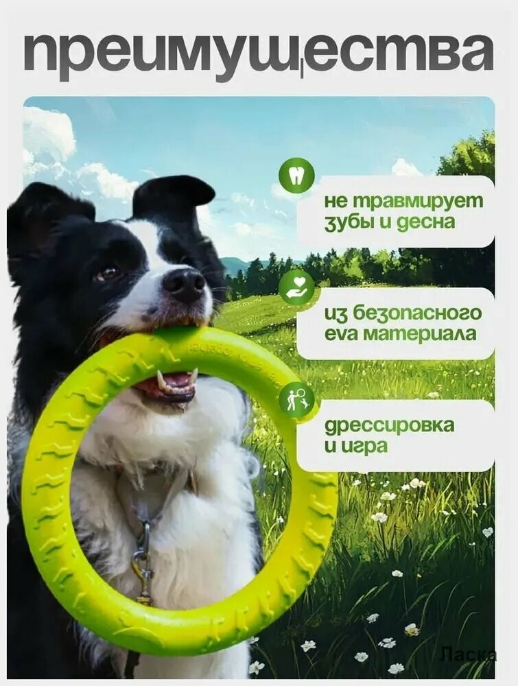 Кольцо-пуллер для собак, 29 см, игрушка для собак — фото 1