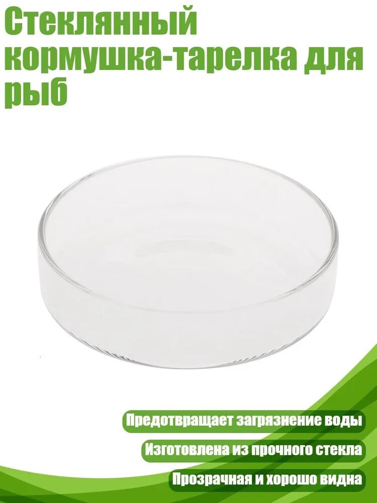 Стеклянный кормушка-тарелка для рыб, - S