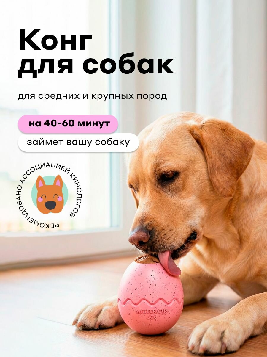 Конг для еды, игрушка-яйцо для собак крупных и средних пород