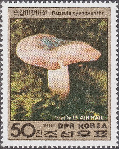 (1986-086) Марка Северная Корея "Сыроежка сине-жёлтая" Грибы III