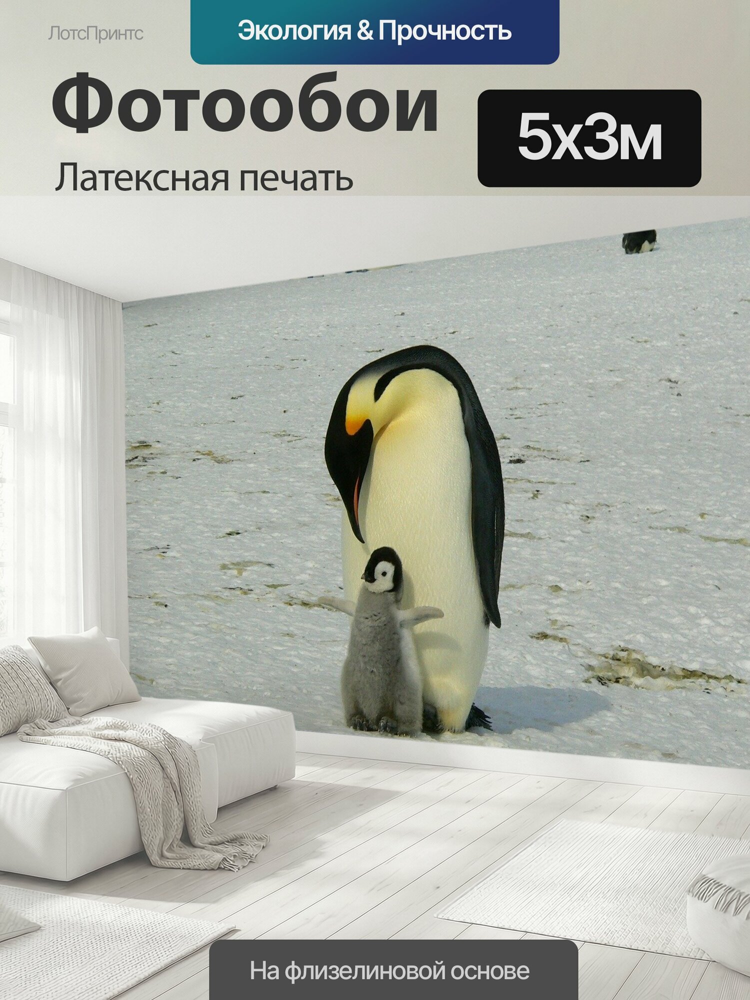 Фотообои моющиеся ударопрочные "Пингвины, императорские пингвины, детка" 500x300 см. латексная печать
