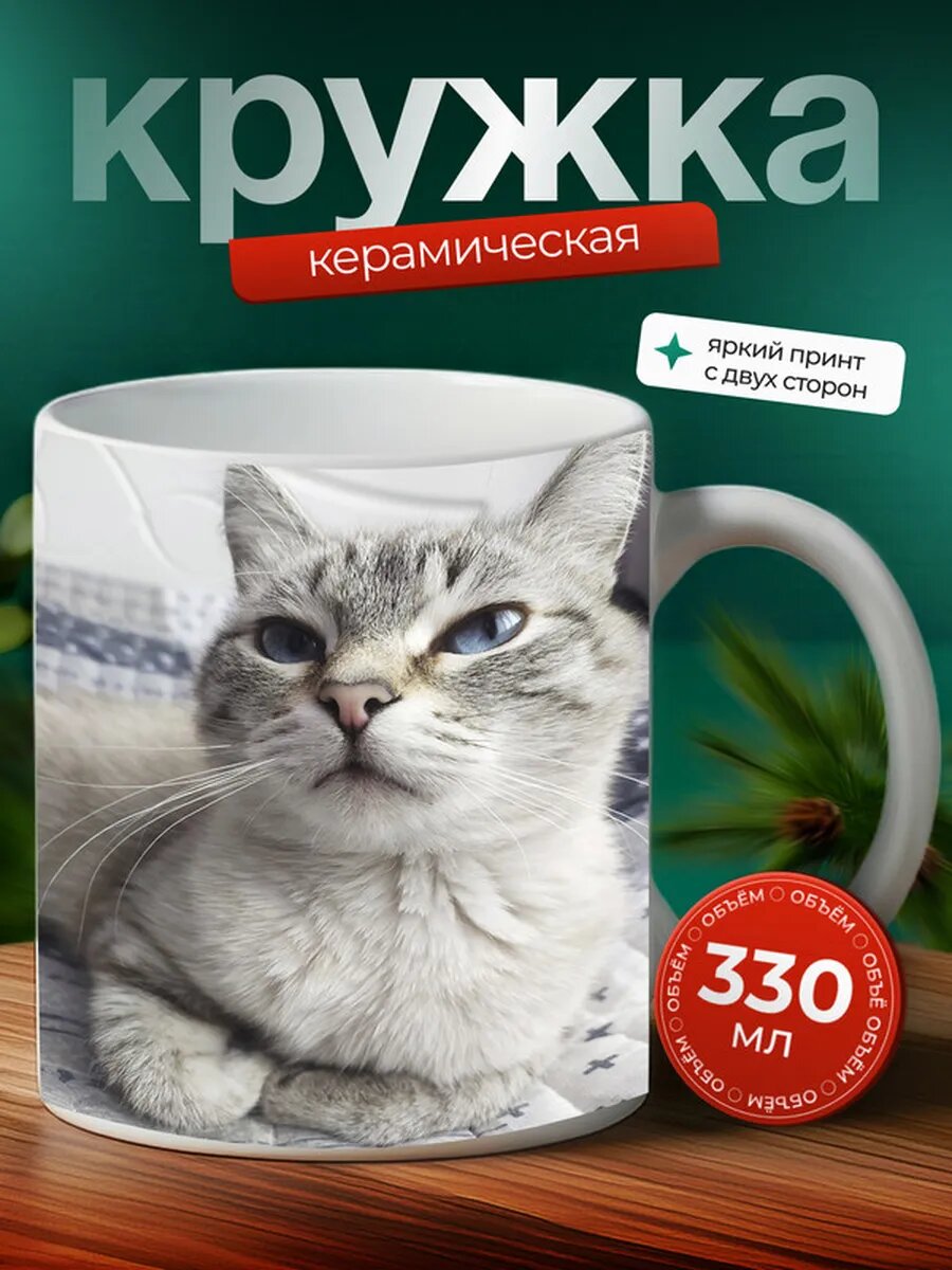 Кружка Индийский шёлковый кот 11,