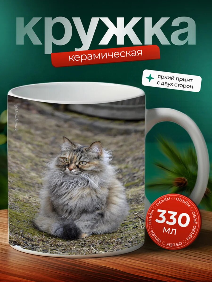 Кружка Американская многоногая кошка 36,