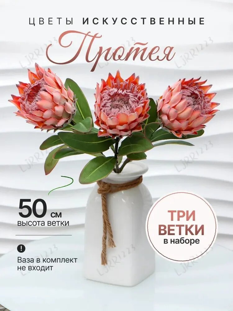 Стабилизированные цветы Протея, 50 см, 110 гр, 3 шт