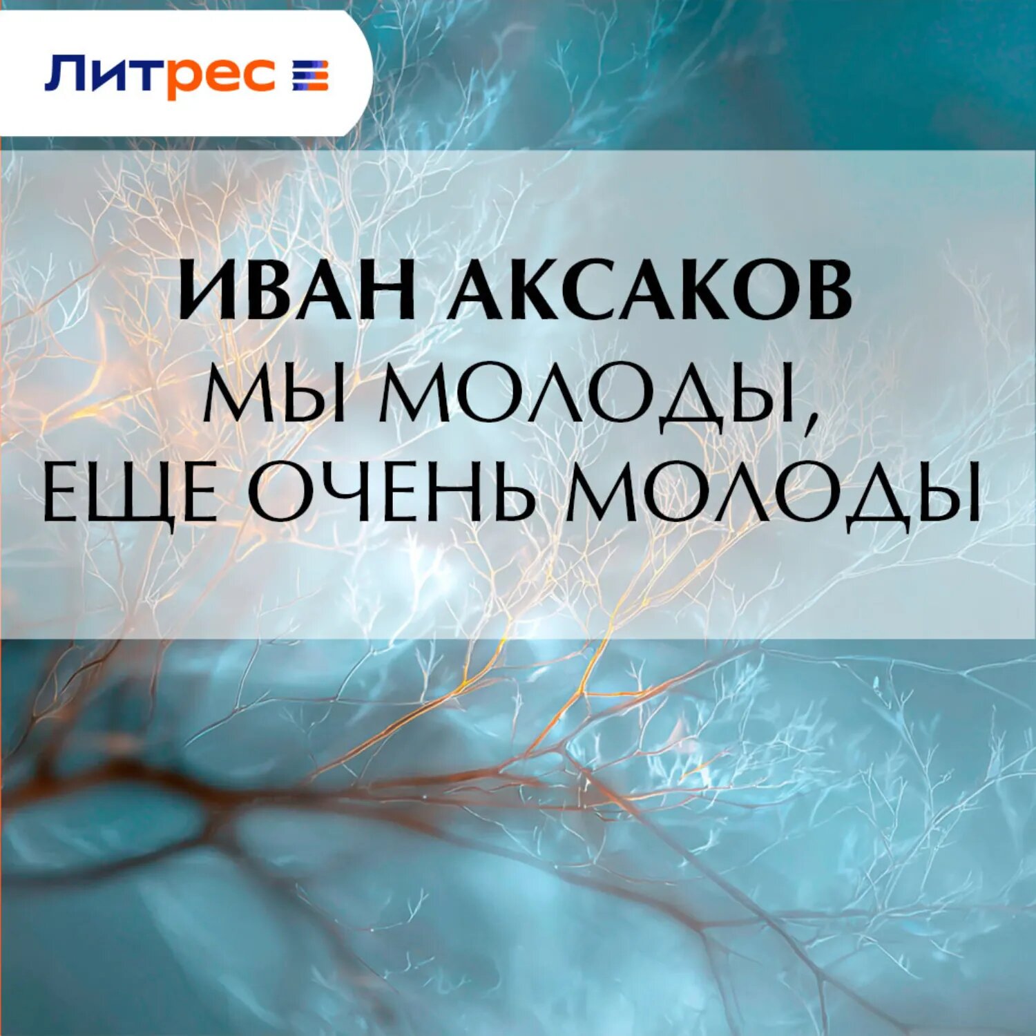 Мы молоды, еще очень молоды [Аудиокнига]