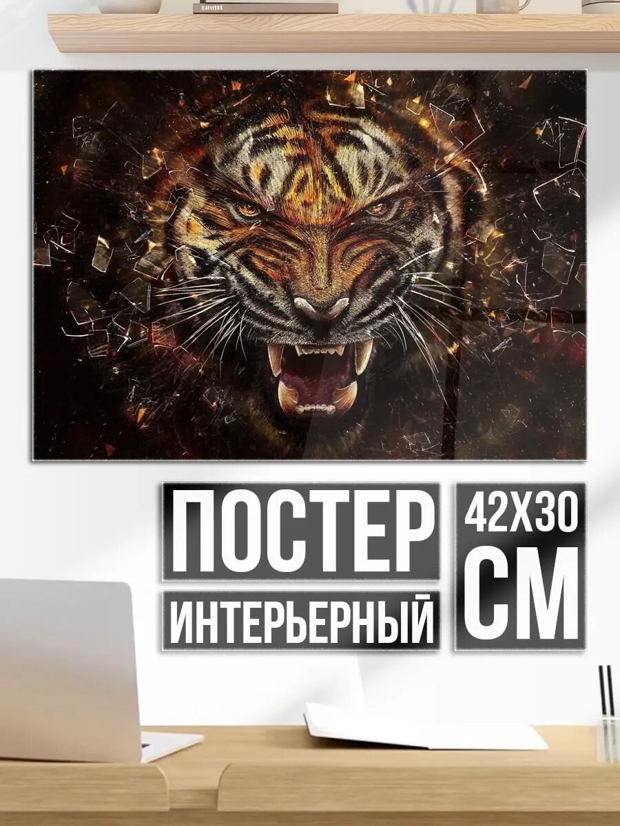 Плакат постер Яростный тигр взрыв