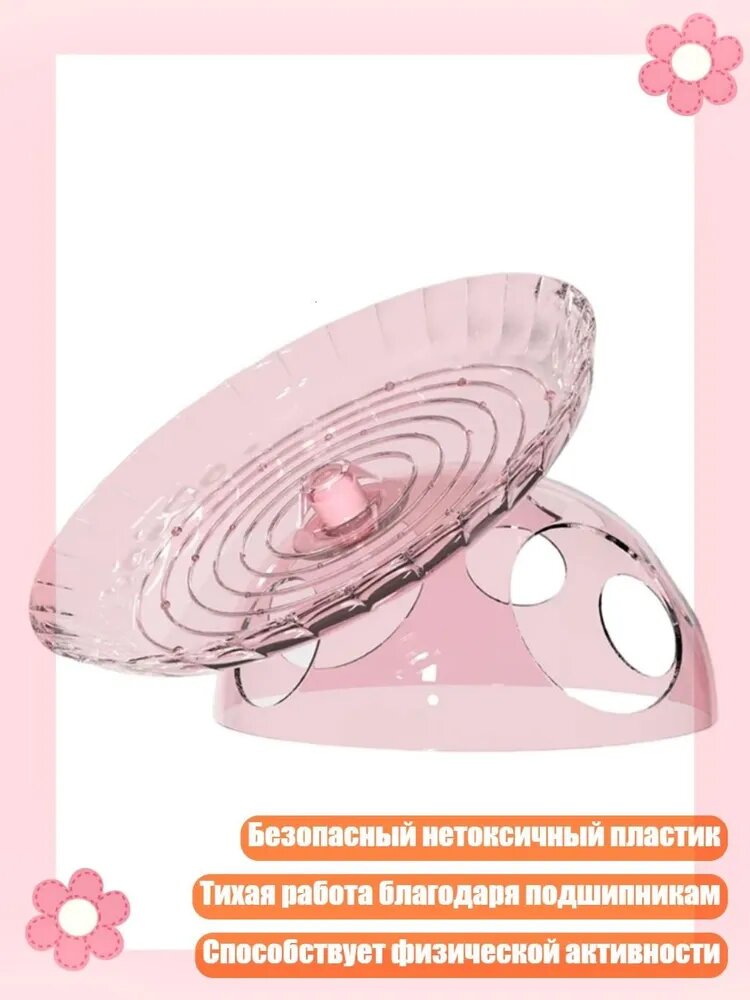 Фрисби