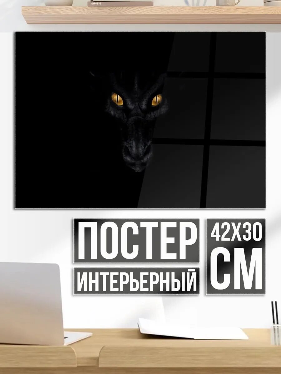 Плакат постер глаза дракона темнота
